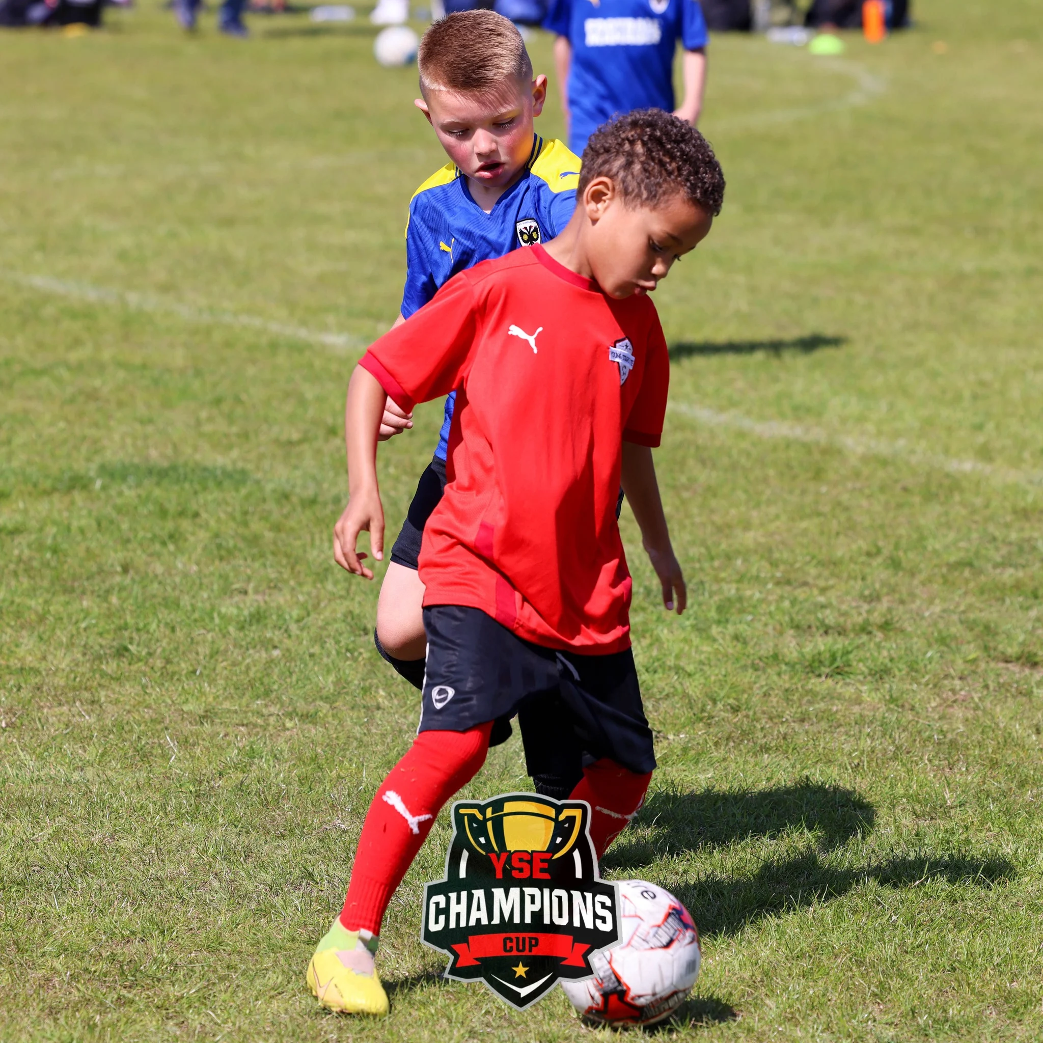 YSE Champions Cup 2025 - Orange Veins