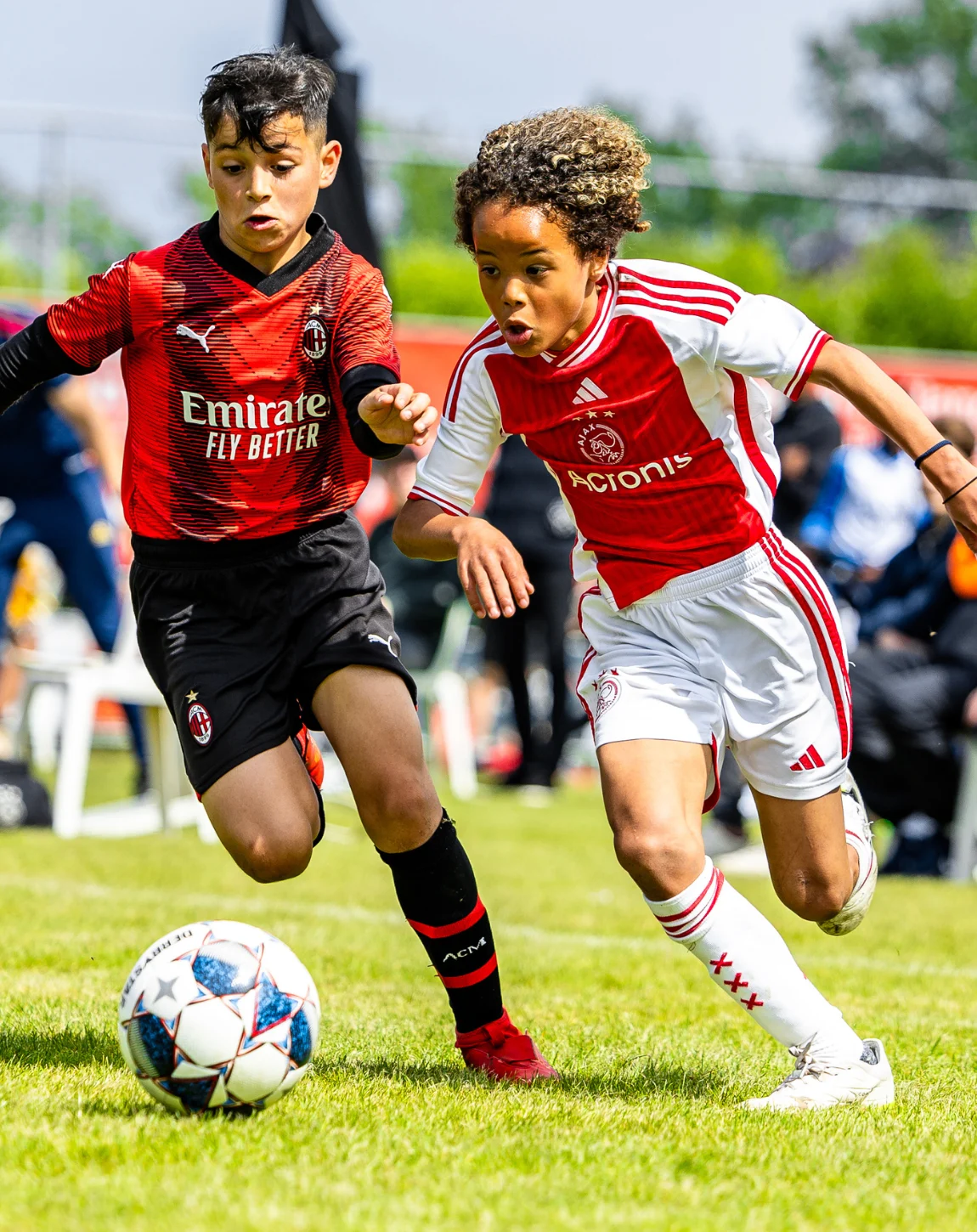 Rood-Wit Tournament - Orange Veins